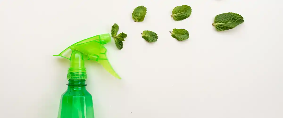 Navigating the Green Wave: Eco-Friendly Cleaning for the Modern ...